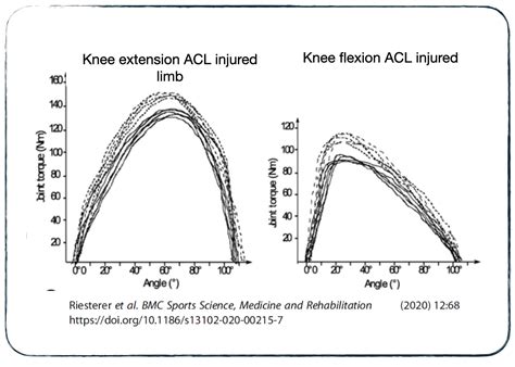 Isokinetic Testing Is Not The Gold Standard Get Back To Sport