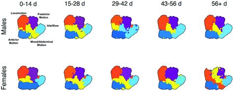 Hierarchical Partitioning Solutions From Deterministic Information