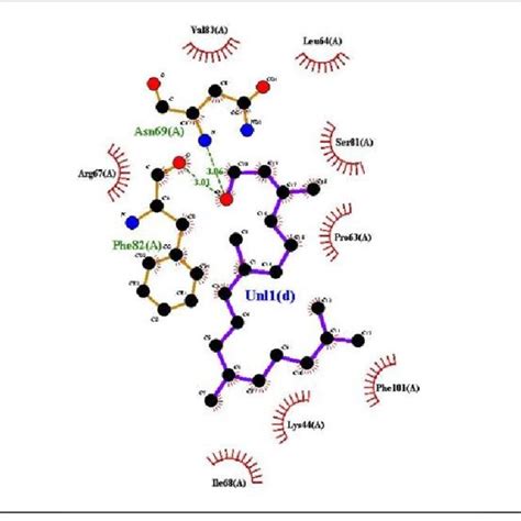 Protein Ligand Interaction Of Complex Dihydrofolate Download