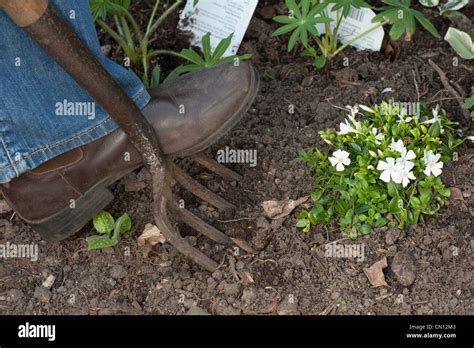 Fork Hoe Hi Res Stock Photography And Images Alamy