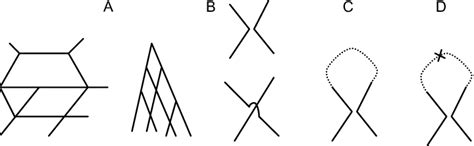 problem space of the task of binary dendritic tree reconstruction from