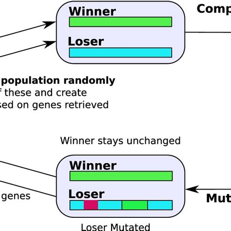 Illustration Of The Binary Tournament Selection Algorithm In 15 The