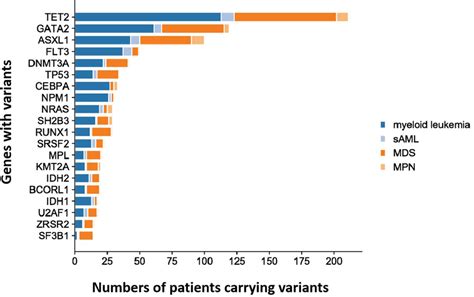 Number Of Patients Carrying Variants In Top 20 High‐frequency Mutations