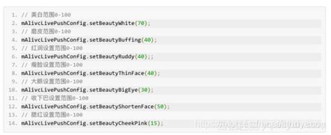 人脸美颜算法 Csdn博客