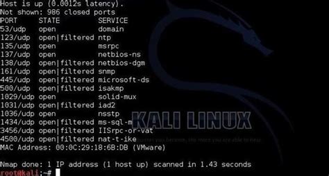 Internet Threats Udp Scans Plixer