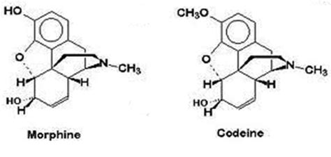 Fatma Zahra Fzahra Eksperimen Morfin Hcl Alkaloid Opium Inti Fenantrena