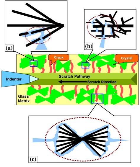 Schematic Of The Crack Microstructure Interaction In Glass Ceramics Download Scientific