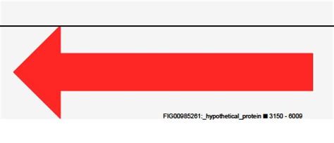 Python Break Line In Genome Diagram Biopython Stack Overflow