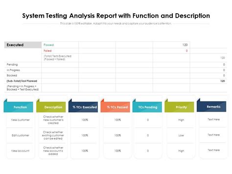 System Testing Analysis Report With Function And Description Ppt PowerPoint Presentation Gallery