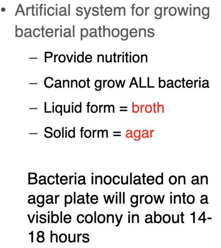Diagnostic Microbiology Flashcards Quizlet