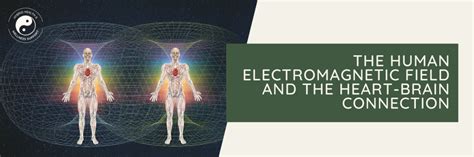 Human Electromagnetic Field