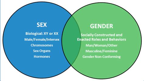 Improving Healthcare American Medical Women S Association