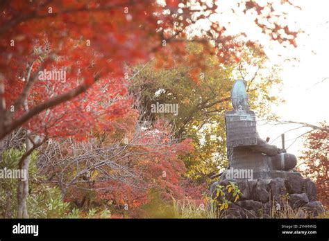 Statue Of Minamoto No Yoritomo And Autumn Leaves In Genjiyama Park Kamakura Stock Photo Alamy