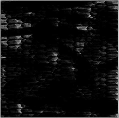 Stalker Vectors And Renders Createblog