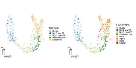 single cell pipeline scp