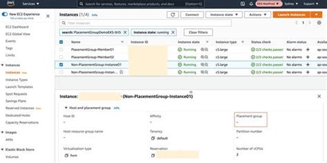 Leveraging Amazon EKS Managed Node Group With Placement Group For Low Latency Critical