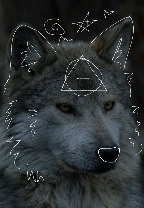 Grey Wolf Therian