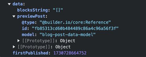 Section With Data Model Reference Do Not Return Entriched Object Technical Questions Builder