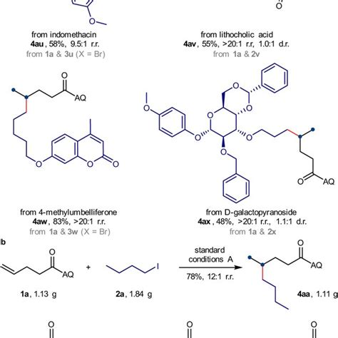 Synthetic Applications A Late Stage Functionalization Of Biorelevant