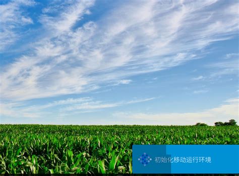 麒麟操作系统 kylinos 从入门到精通 移动运行环境无法启动（kmre无法连接服务器） 知乎