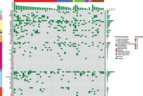 Heatmap Shows Gene Mutations At Diagnosis In Various Functional Groups Download Scientific