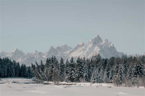 34 Photos To Make You Want To Experience A Wyoming Winter Red Around