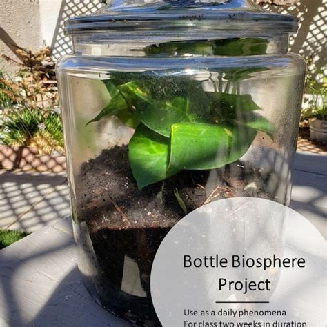 Biosphere Etsy