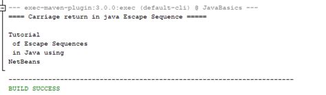 Escape Sequence In Java With Examples Using NetBeans
