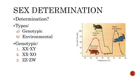 Sex Determination M Sc Zoology University Of Mumbai Pptx