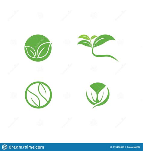 Set Leaf Logo Template Vector Stock Vector Illustration Of Leaf Ornament 175496359