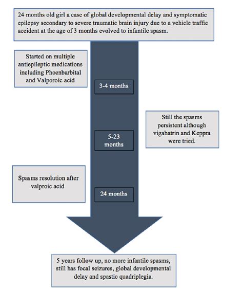 Timeline For The Chronological Sequence Of The Patients Presentation Download Scientific
