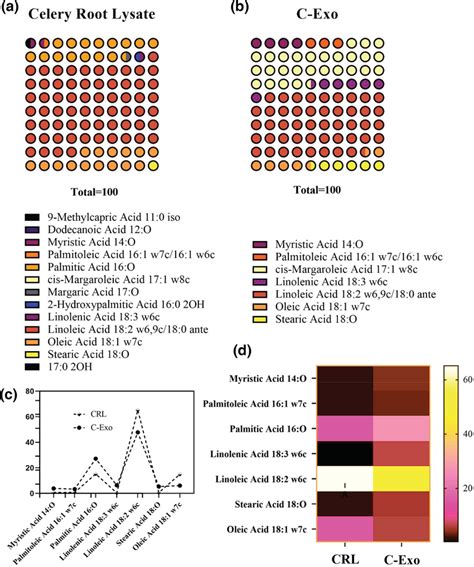 Lipidomic Characterization Of C‐exo By Gc‐fame Measurement And Download Scientific Diagram