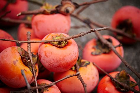 Persimmon Benefits And Calories