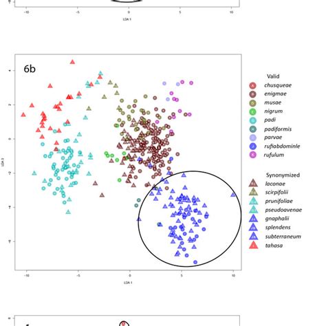 Graphs Of The Second Linear Discriminant Analysis Of Apterae Download Scientific Diagram