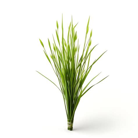 Premium Photo North Dakota Switchgrass Olive Green Mini Bouquet High