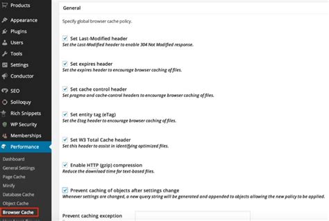 Use W3 Total Cache To Enable WordPress Browser Caching