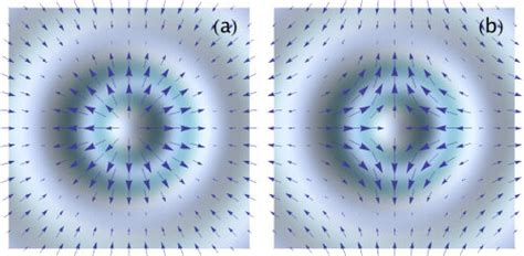 complex polarization patterns of a co rotating radially polarized