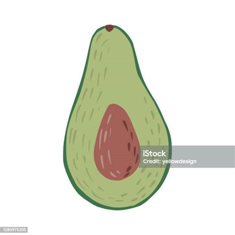 흰색 배경에 고립 된 씨앗과 절반 아보카도 낙서의 추상적인 식물 학적 그림 건강한 식생활에 대한 스톡 벡터 아트 및 기타 이미지 건강한 식생활 고풍스런 과일 Istock