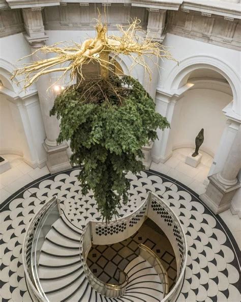 Tate Britain ის ნაძვის ხეები წლების მანძილზე