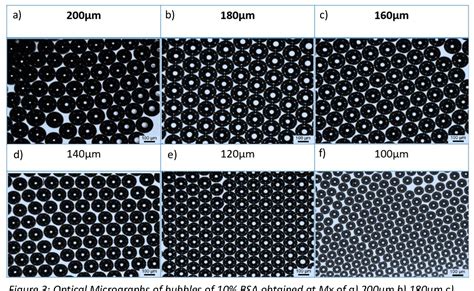 Figure 1 From The Effect Of The Mixing Region Geometry And Collector Distance On Microbubble