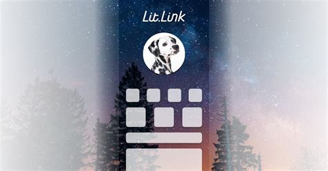 Masa Litlinkリットリンク