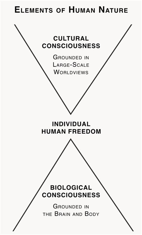 Does Human Nature Evolve The Developmentalist