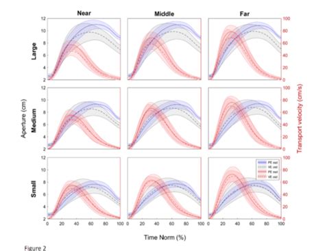 Principles Of Motor Control And Movement Flashcards Quizlet