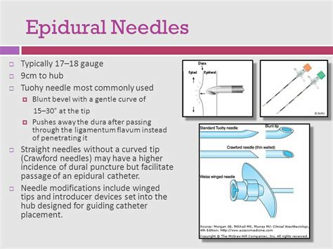 Epidural Needle Types Of Spinal Needle Lumbar Puncture