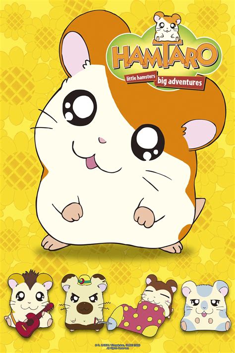 Hamtaro Saison 1 Shikkanime