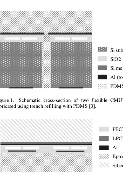 schematic cross section of a flexible cmut array assembly based on the