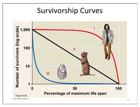 Population Ecology Flashcards Quizlet