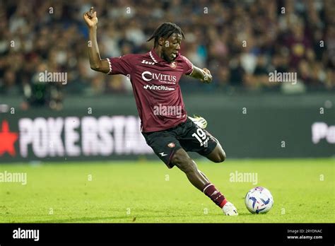 Trivante Stewart Fotos Und Bildmaterial In Hoher Auflösung Alamy