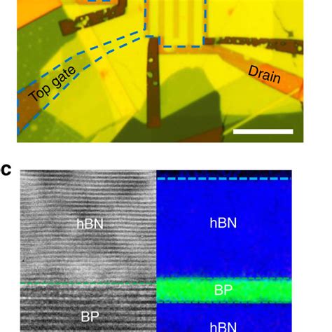 Structure Of The Tunable Bp Mid Ir Photodetector Based On A Dual Gate Download Scientific