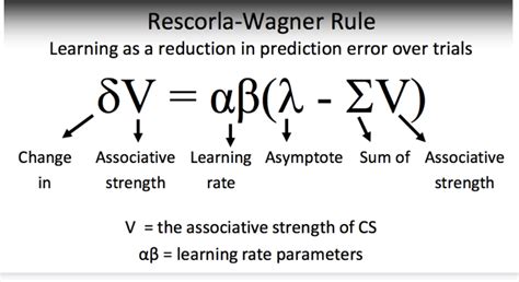 Learning Pavlovian Conditioning Diagram Quizlet
